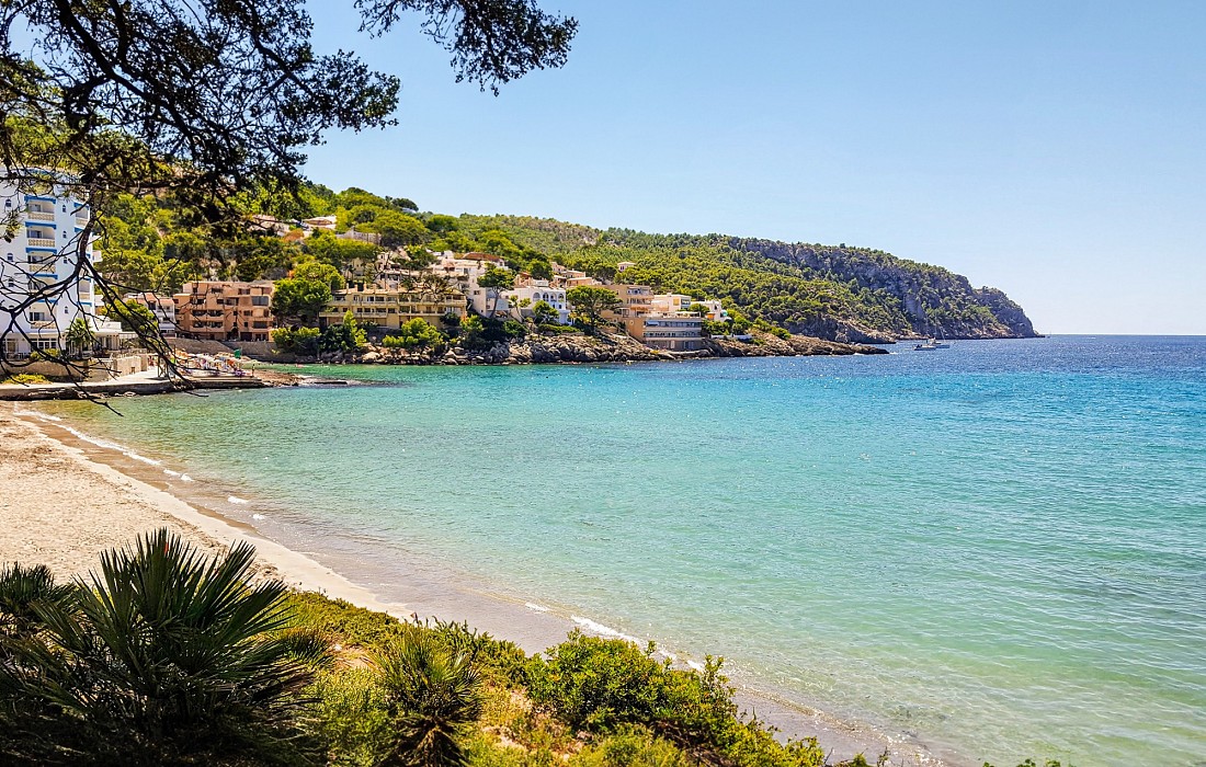 Platja de Sant Elm ☀️️ Spiagge Llucmajor (Maiorca) - Spiagge.life